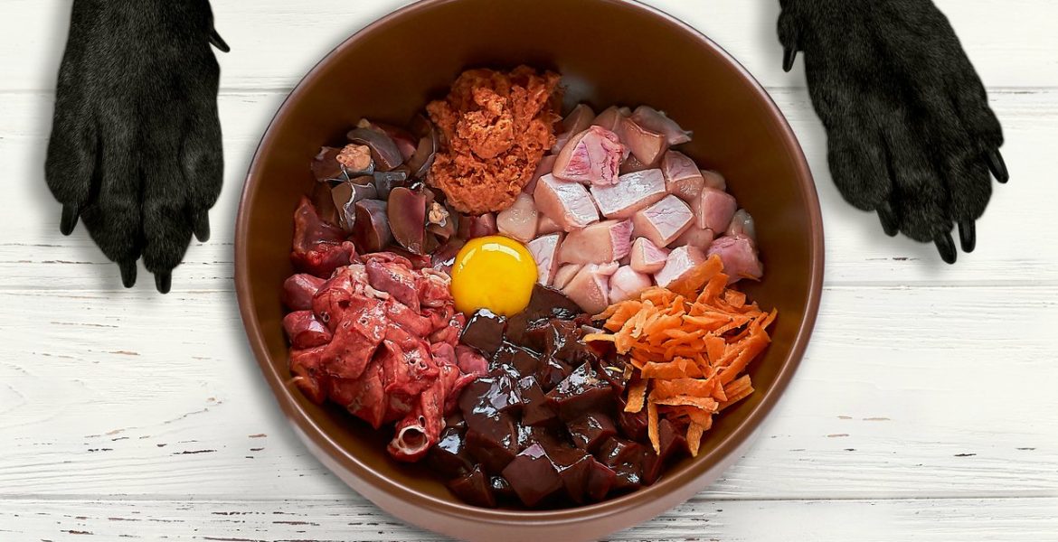 Comida BARF para Perros | Cómo Hacerla en Casa + Alimentos