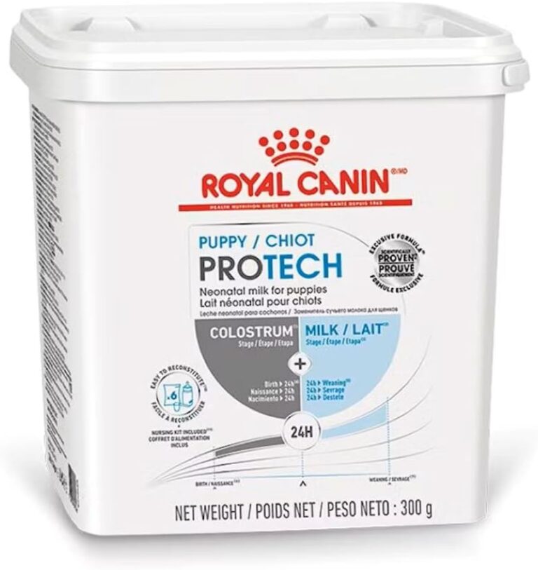 Leche para Perros | Marcas Recomendadas y Cómo Prepararla